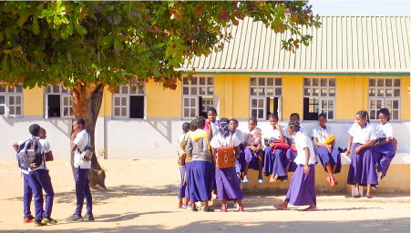 In-School Mentorship Based Program – Girlmove Academy